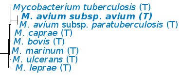 VetBactBlog | VetBact, the blog. | Page 2