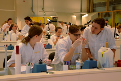 VetBactBlog | VetBact, the blog. | Page 2