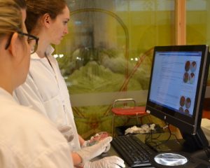 All Time High on VetBact | VetBactBlog