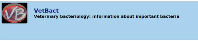 New Server | VetBactBlog